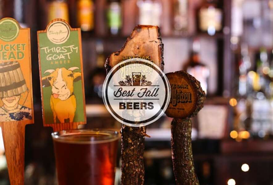 Fall's Best Beers - Thrillist Nation
